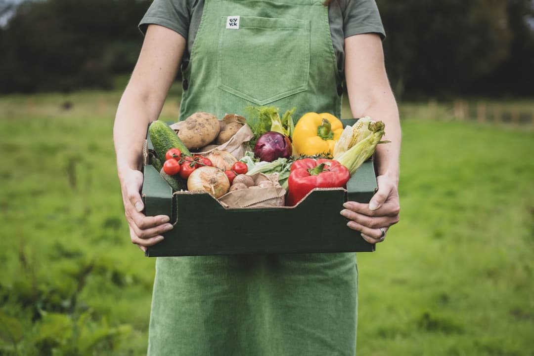 Shop local food | Boxed Green - Lancashire